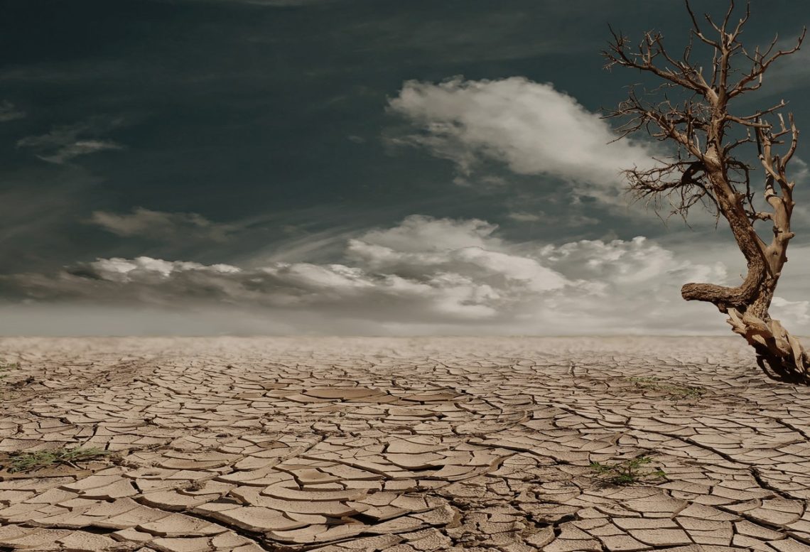 La Tragédie Des Réfugiés Climatiques Gazellemag